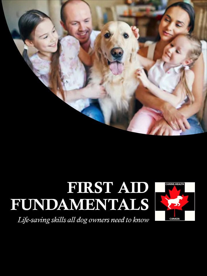 First Aid Fundamentals | Alpine Creek Ranch L.L.C.